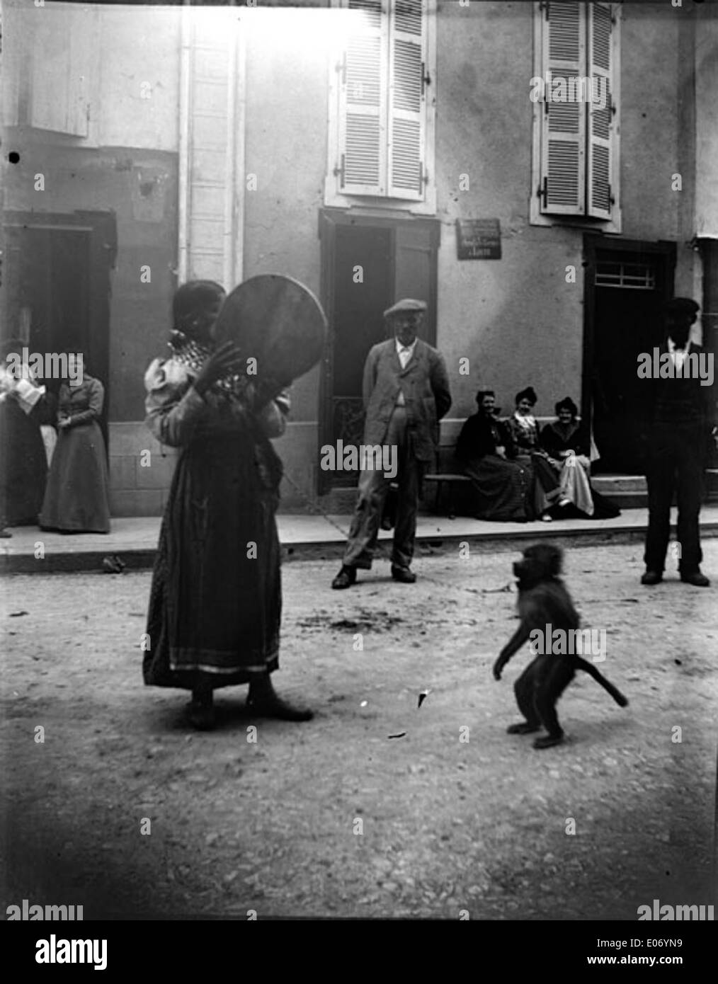 Performing monkey Black and White Stock Photos & Images - Alamy