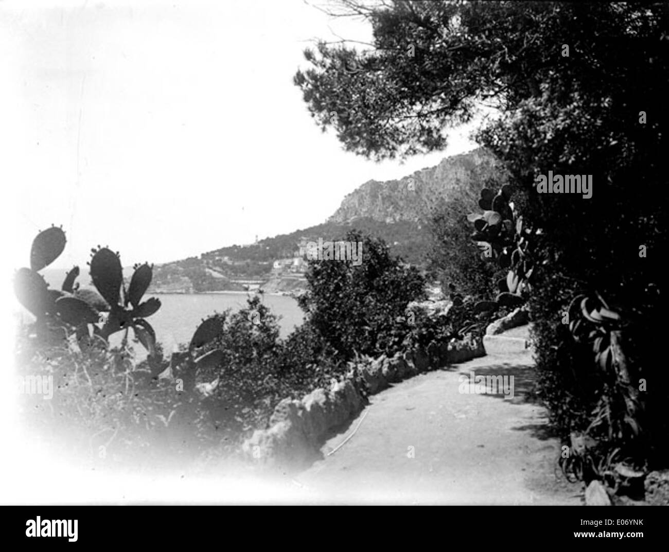 A scene from the gardens in Monaco in May 1909, showing a lush and well ...