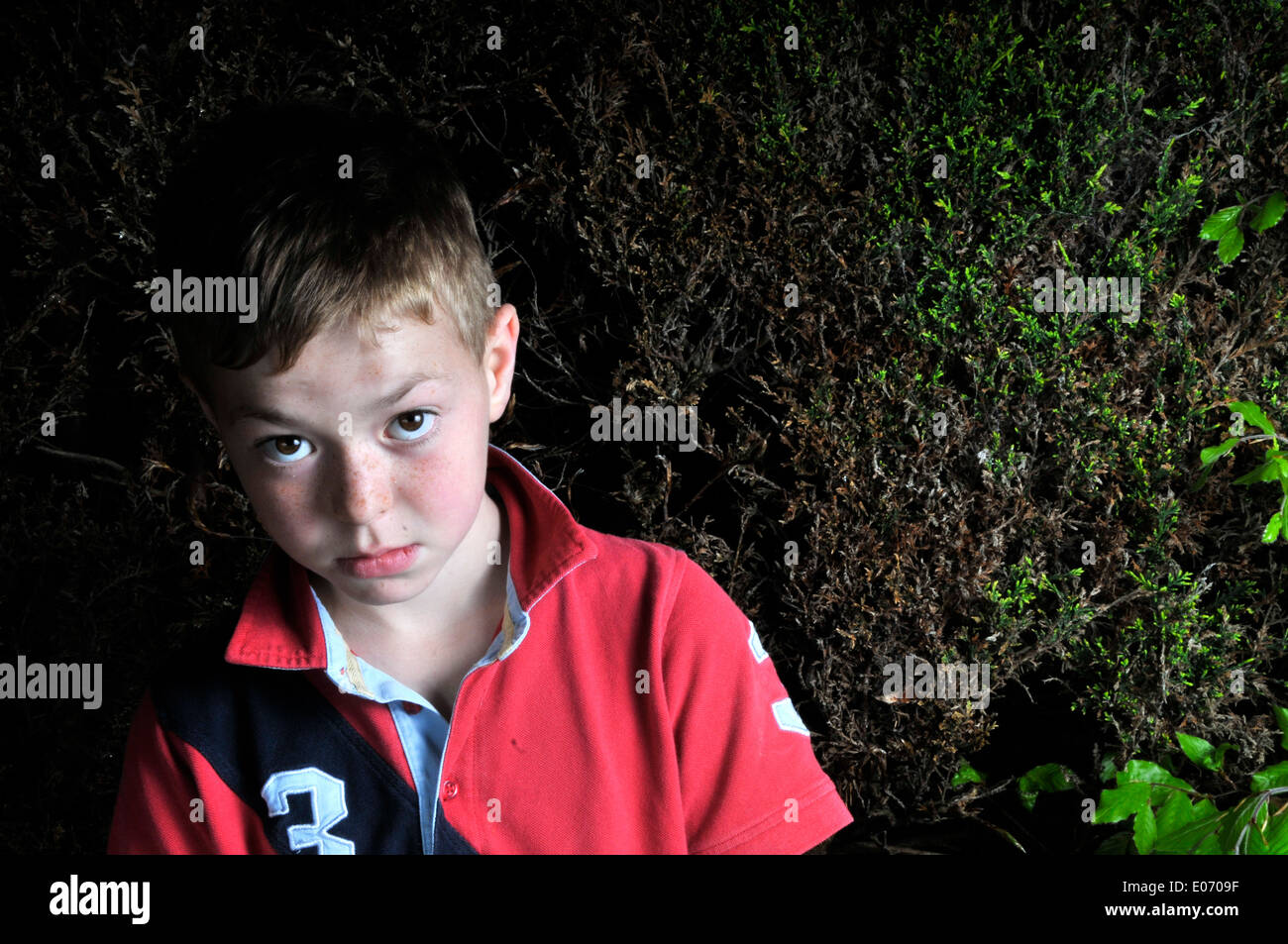 Boy young posing portrait garden Stock Photo - Alamy
