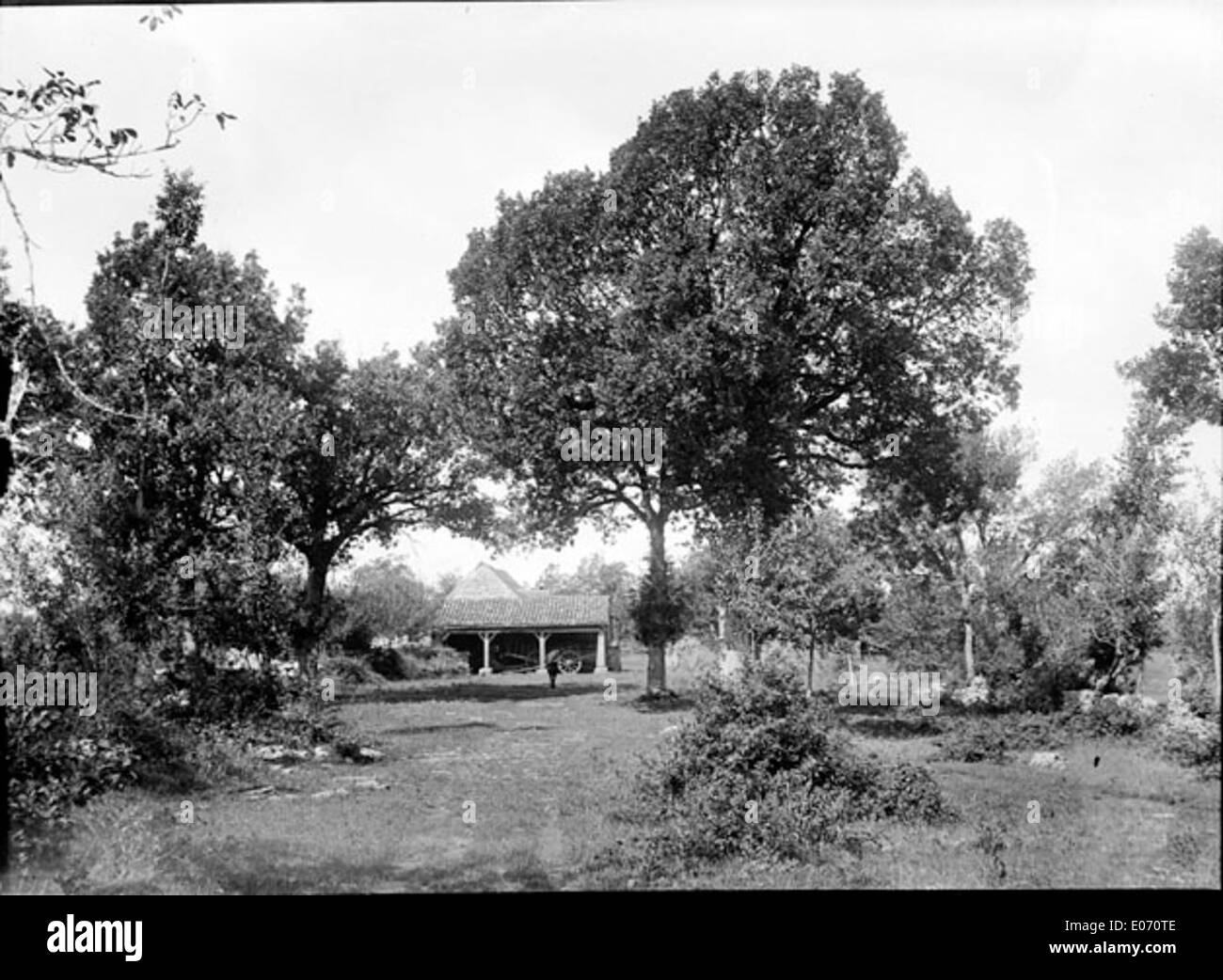 Labat Black and White Stock Photos & Images - Alamy