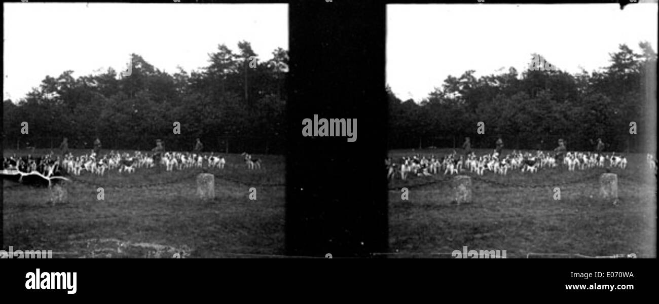 A photograph from May 1902 showing dogs at the Château de Chantilly ...