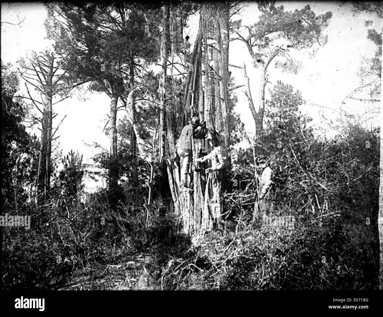 An image from September 1890 depicting Arcachon, France, showing the ...