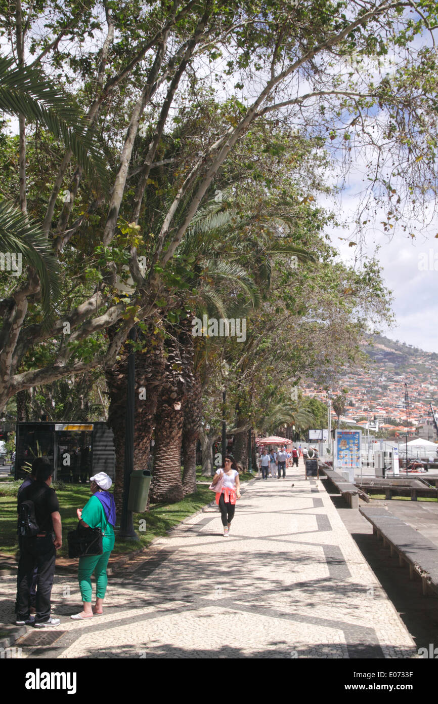 Seafront promenade funchal madeira hi-res stock photography and images ...