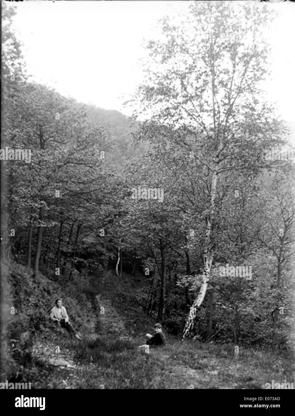 Within forest Black and White Stock Photos & Images - Alamy