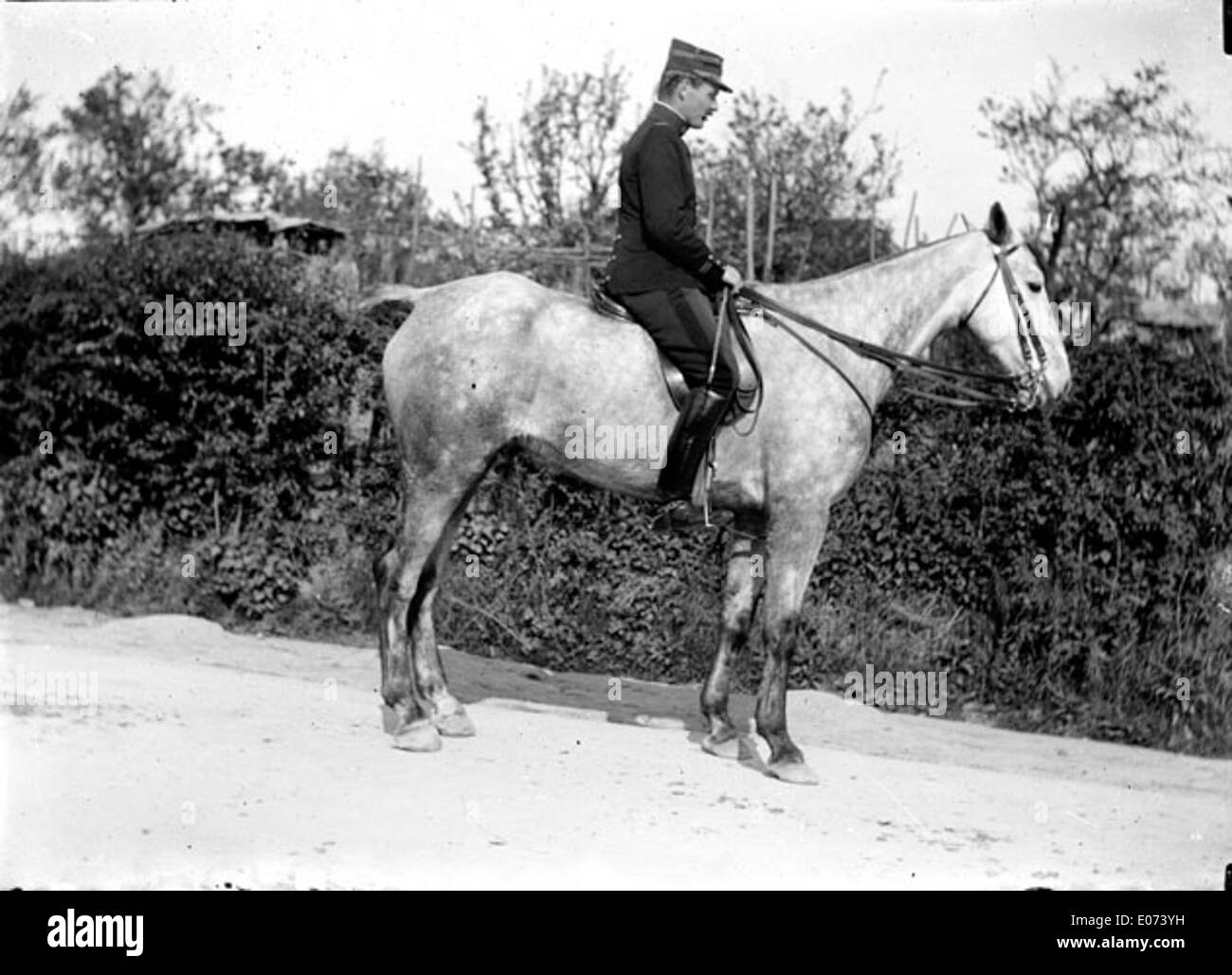 A historical profile portrait of a mounted cavalry officer in uniform ...