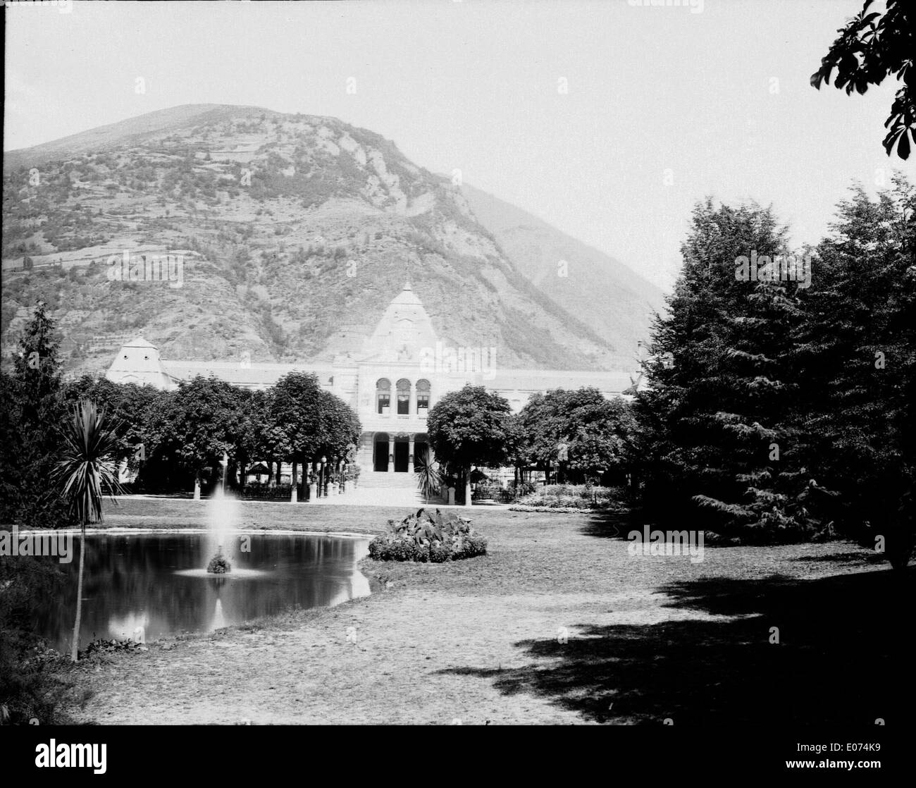 A view of trees Black and White Stock Photos & Images - Alamy