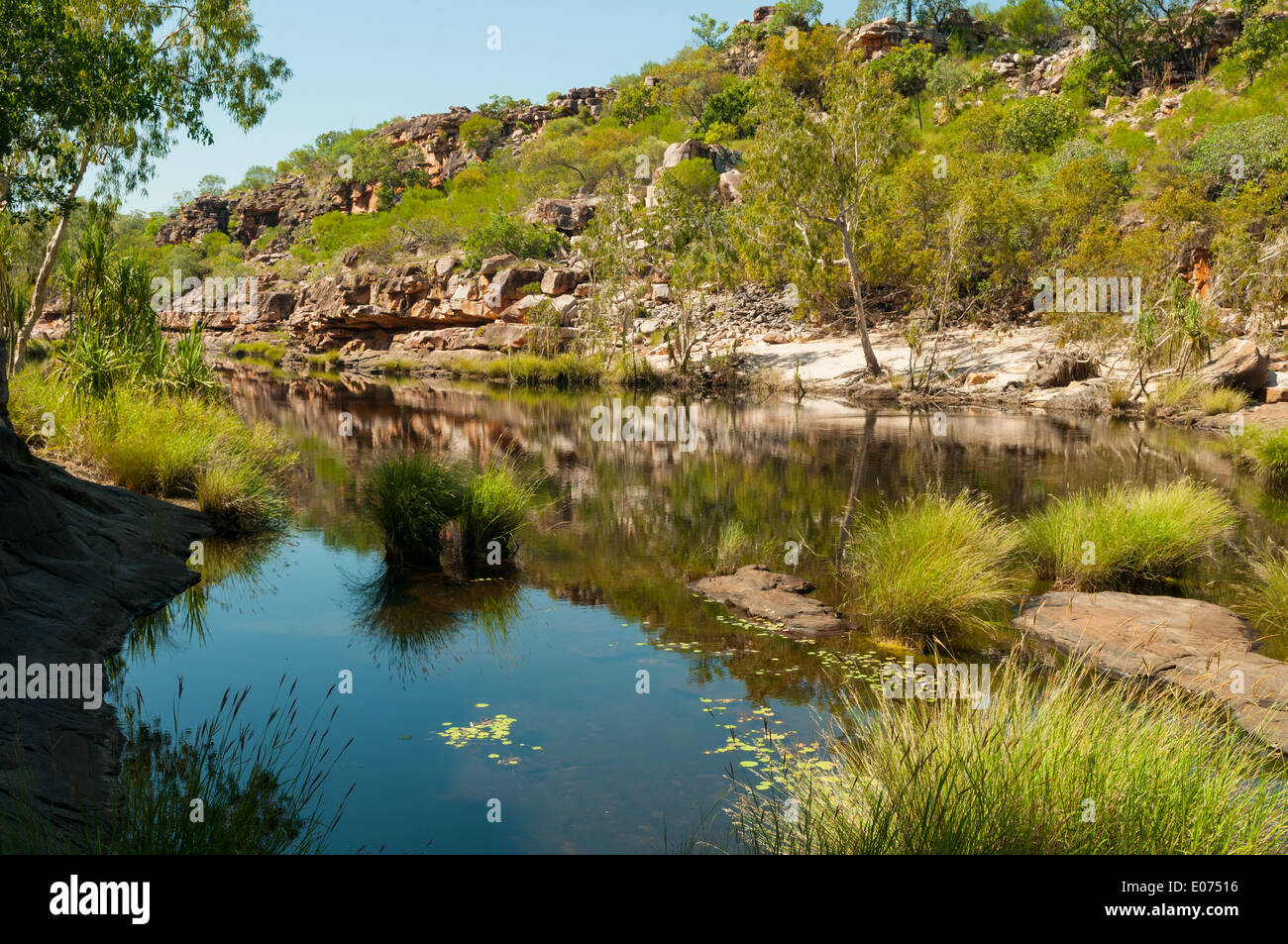 Pond Reflections at Camp Creek, the Kimberley, Western Australia ...