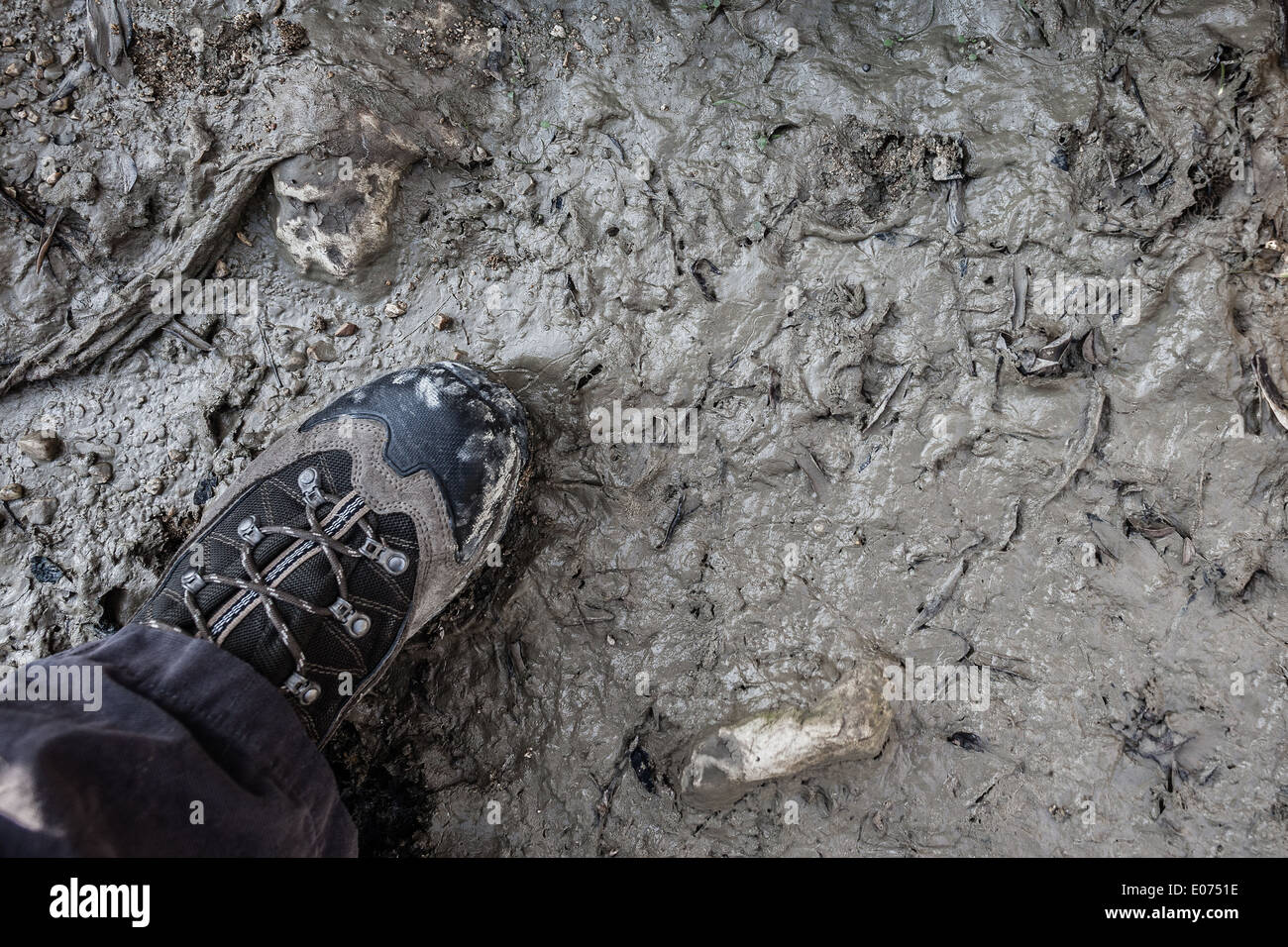 a man wearing a hiking boot stepping on a slimy mud surface Stock Photo ...
