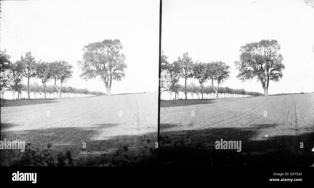 Mas time Black and White Stock Photos & Images - Alamy