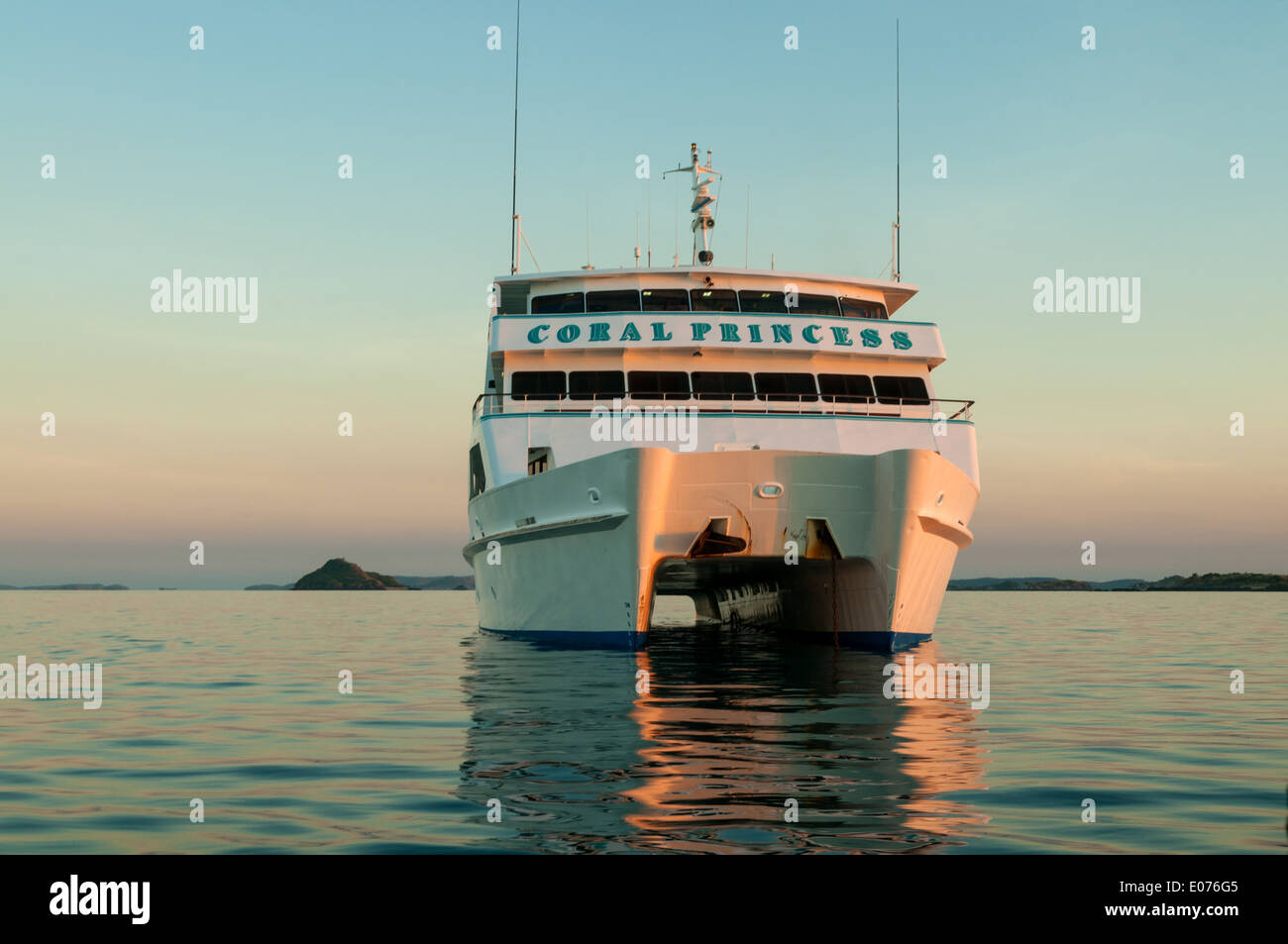 Coral princess hi-res stock photography and images - Alamy