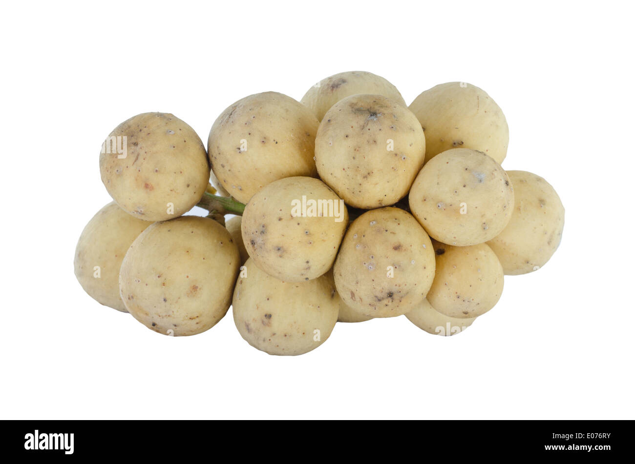 Lansium domesticum on white background Stock Photo - Alamy
