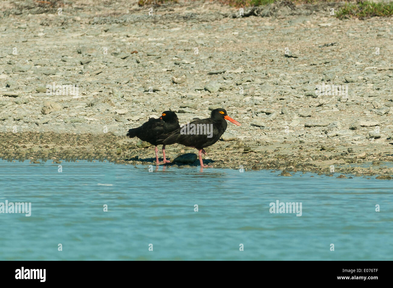 Lacepede islands australia hi-res stock photography and images - Alamy