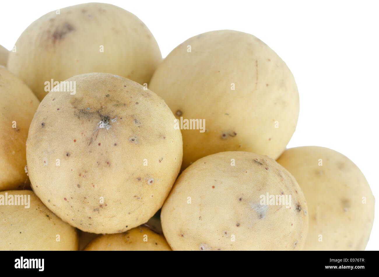 Lansium domesticum on white background Stock Photo - Alamy