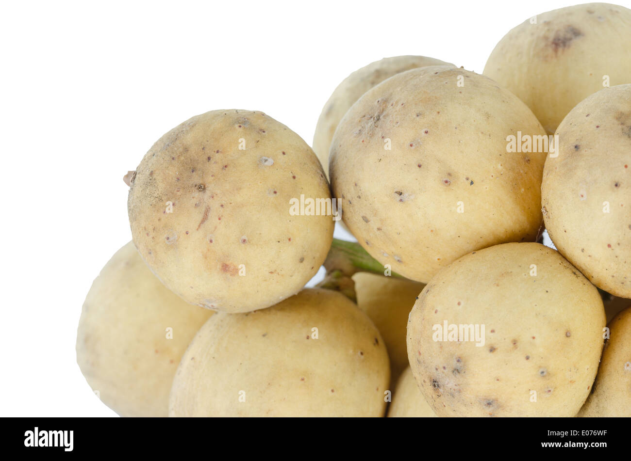 Lansium domesticum on white background Stock Photo - Alamy