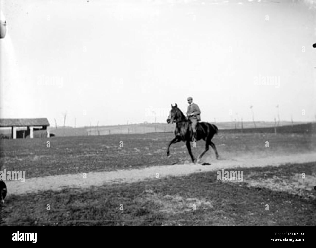 Cavalier et cheval hi-res stock photography and images - Alamy