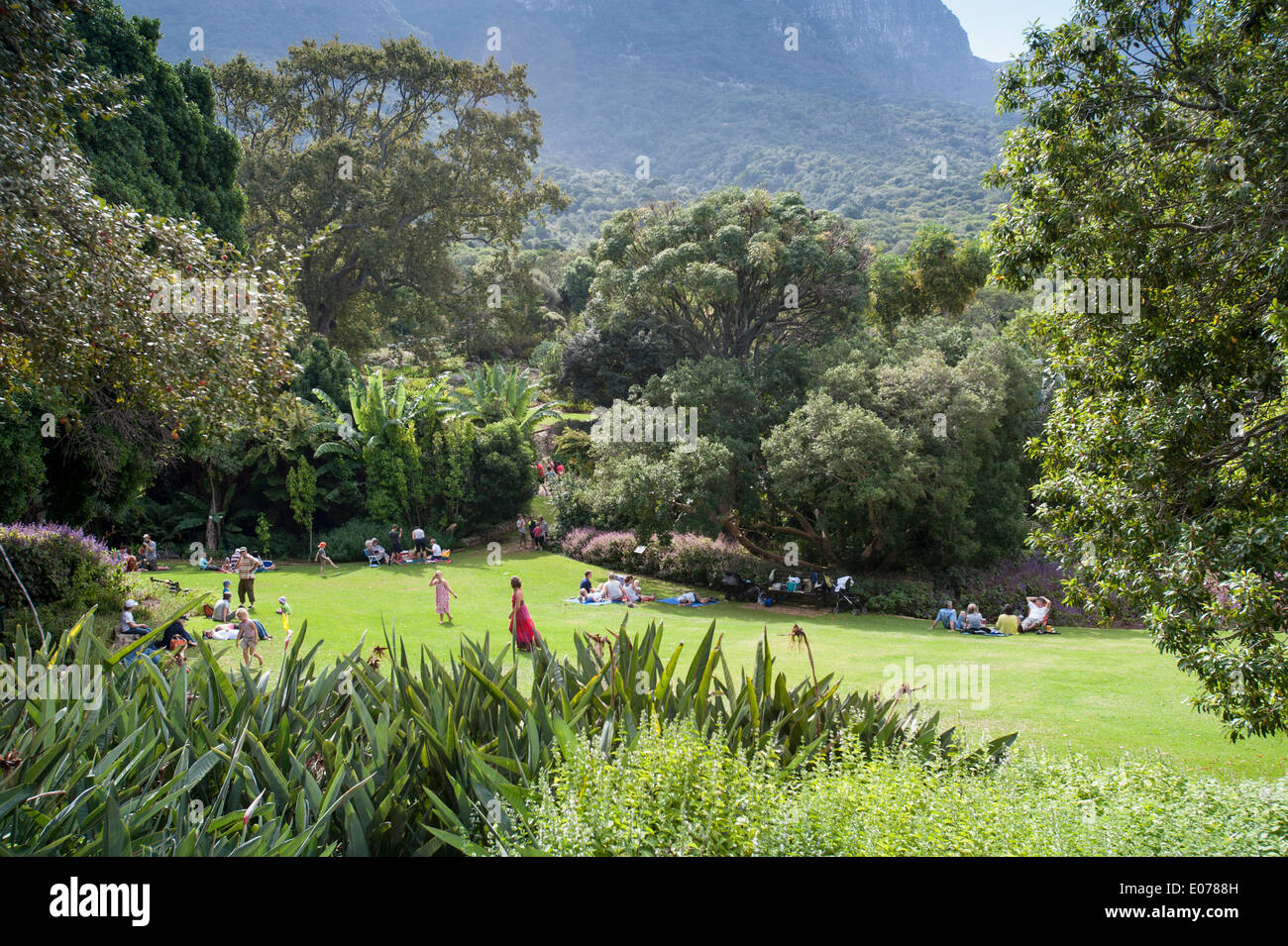 Visitors picnicking in Kirstenbosch botanical garden, Cape Town, South ...
