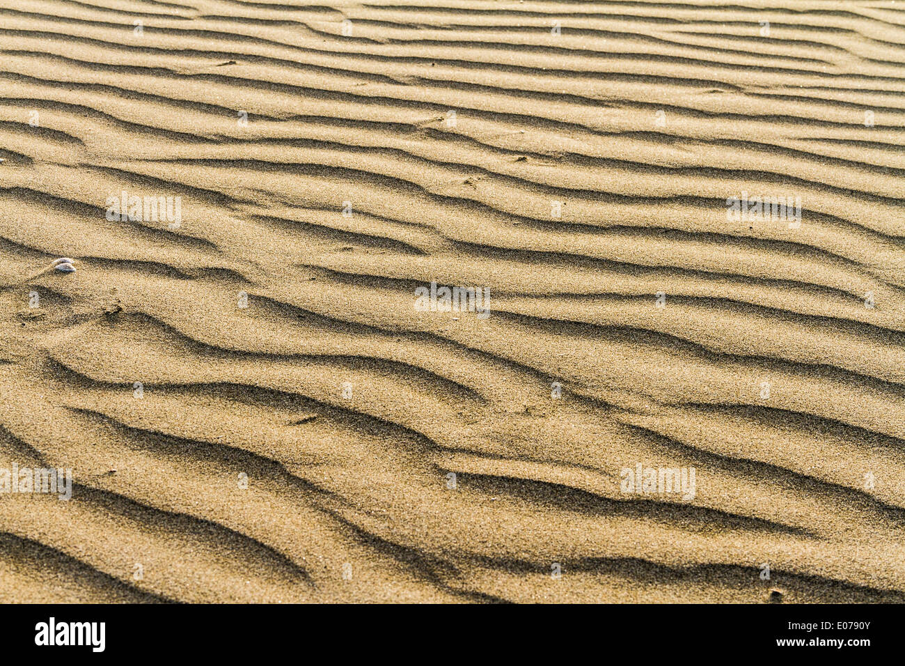 detail of the ripples formed by the sand on a beach or a desert Stock ...
