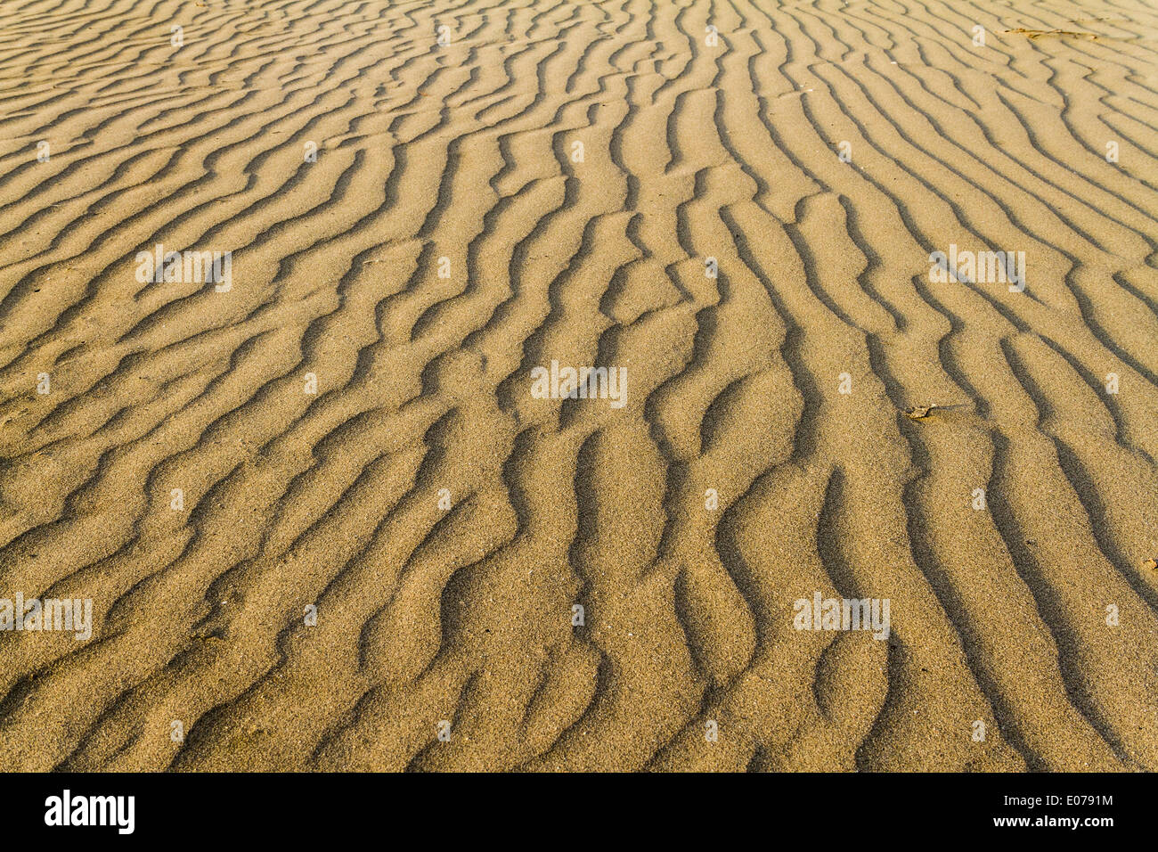 Wind formed ripple pattern hi-res stock photography and images - Alamy