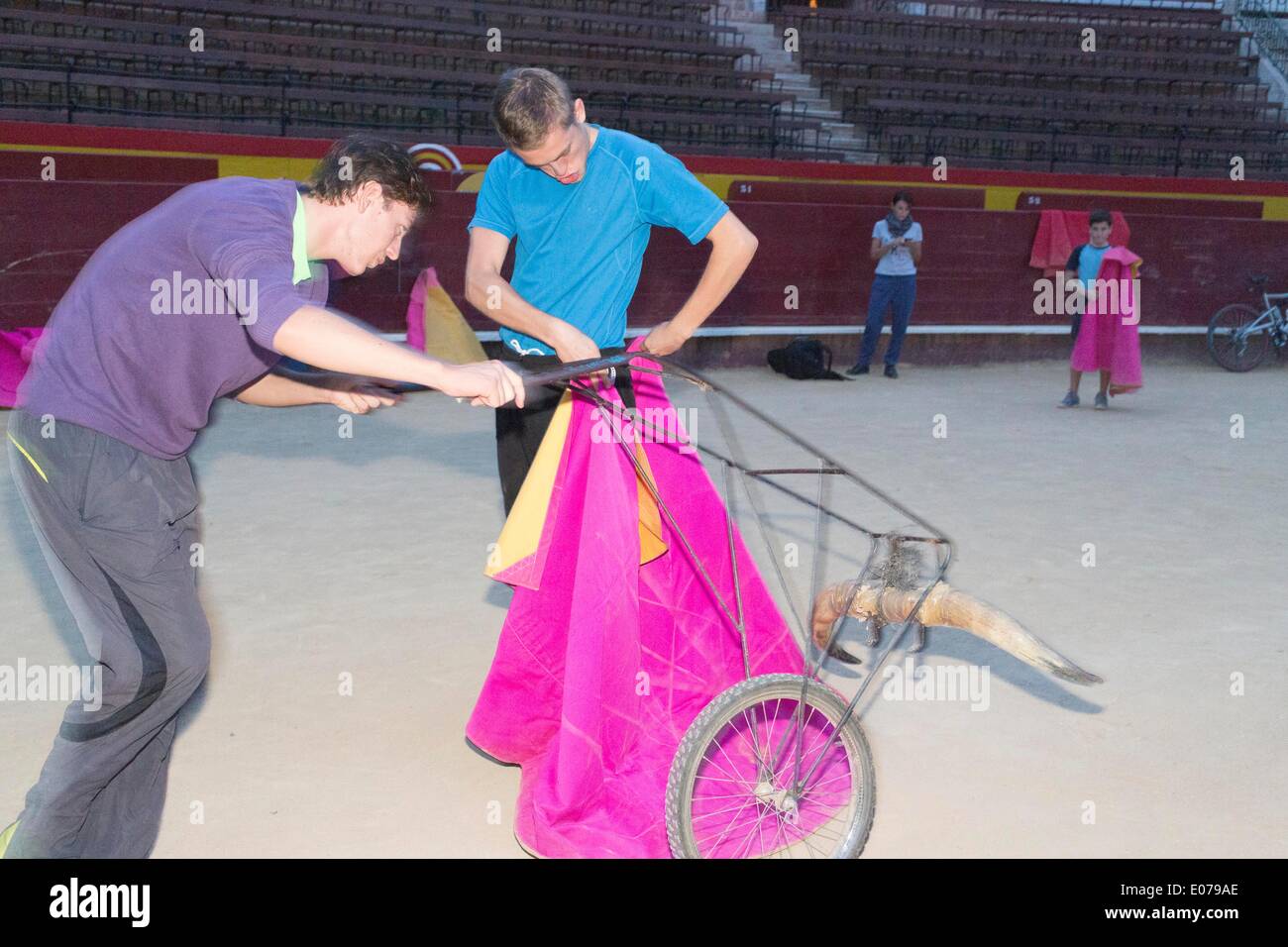 pupils of the bullfighting school training in the bullfighting ring in ...