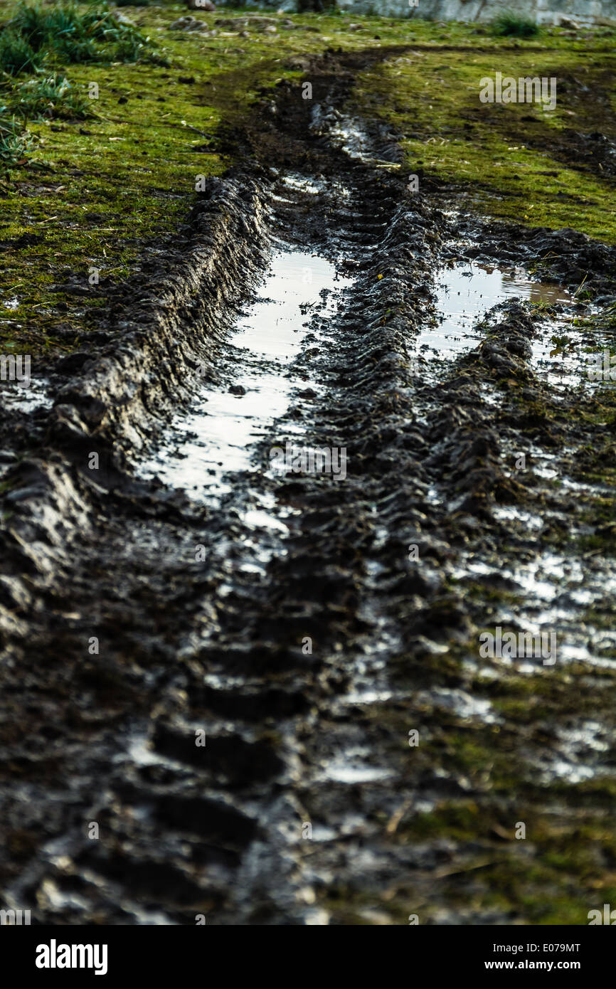 Prehistoric track hi-res stock photography and images - Alamy