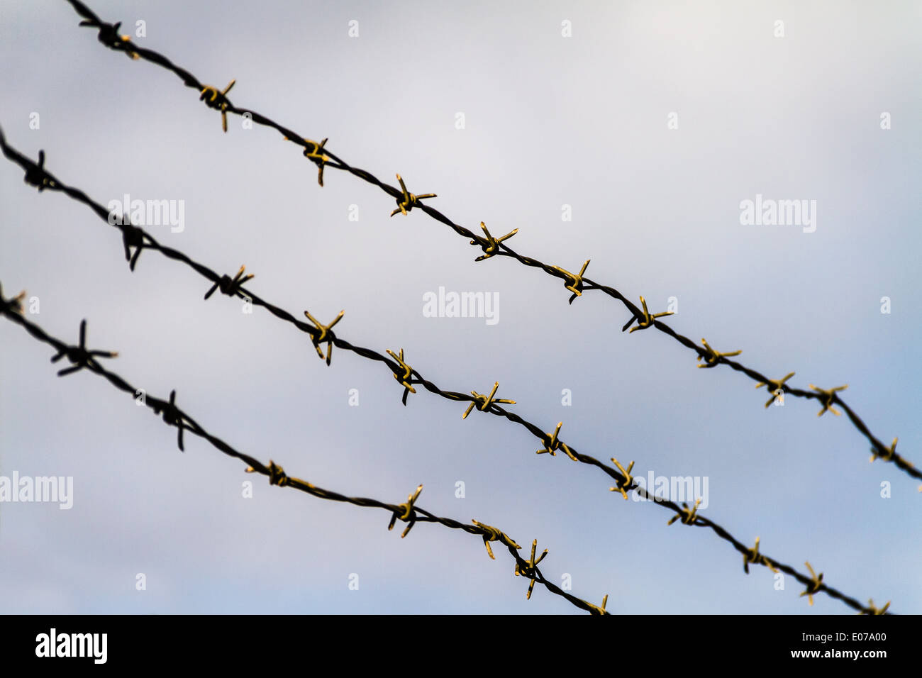 Barber wire hi-res stock photography and images - Alamy