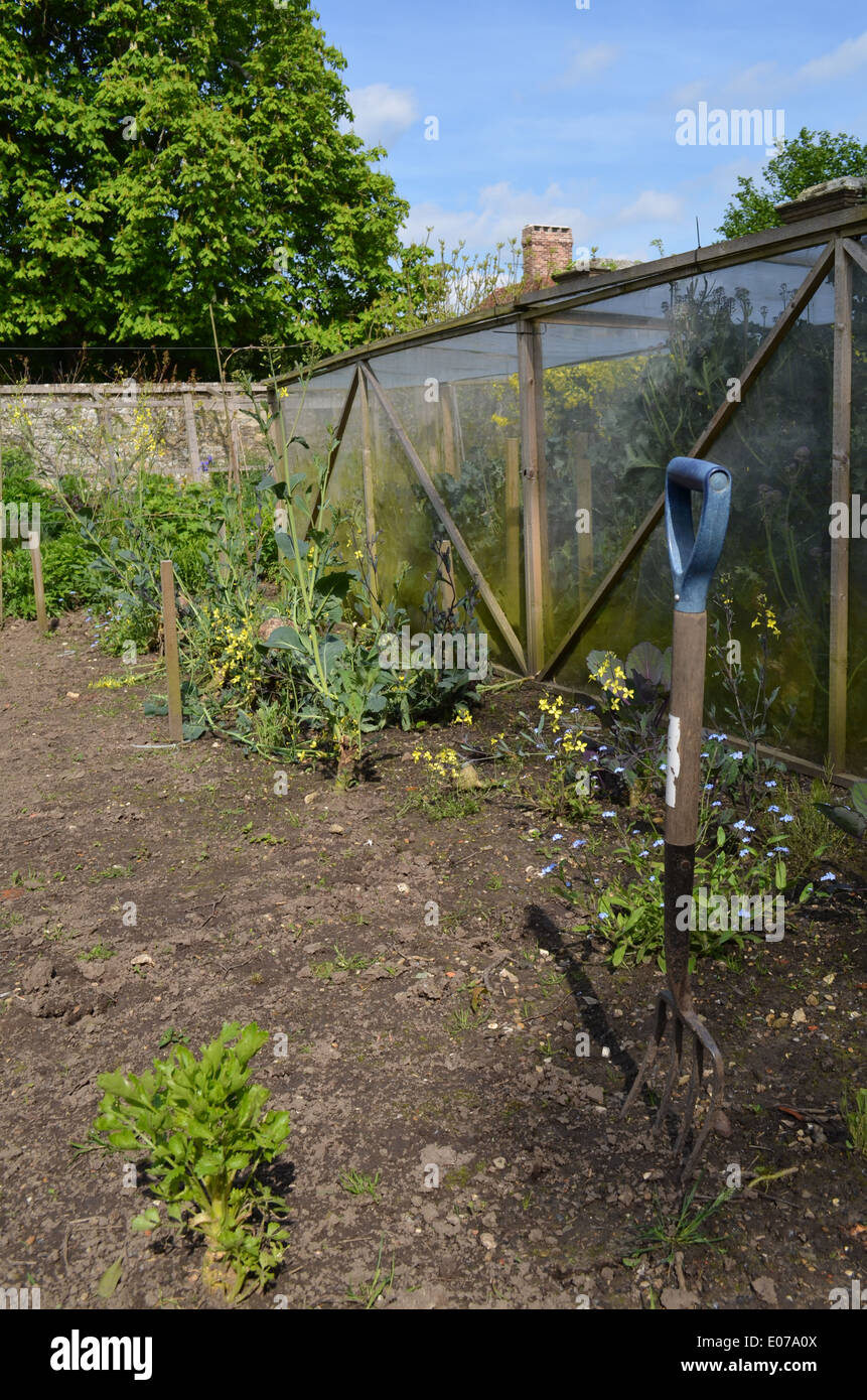 Vegetable garden in the English countryside Stock Photo - Alamy