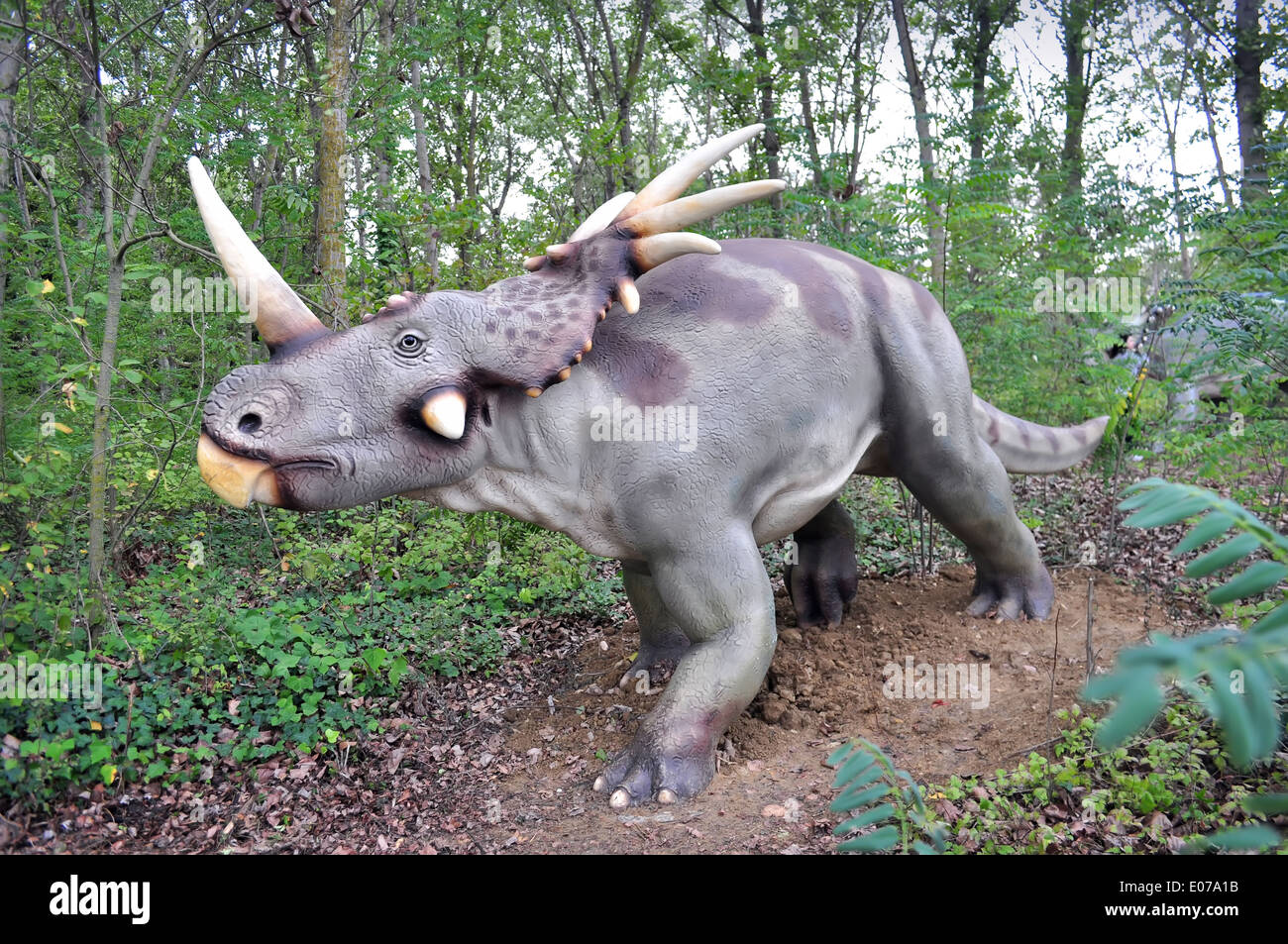 Skin dinosaur hi-res stock photography and images - Alamy