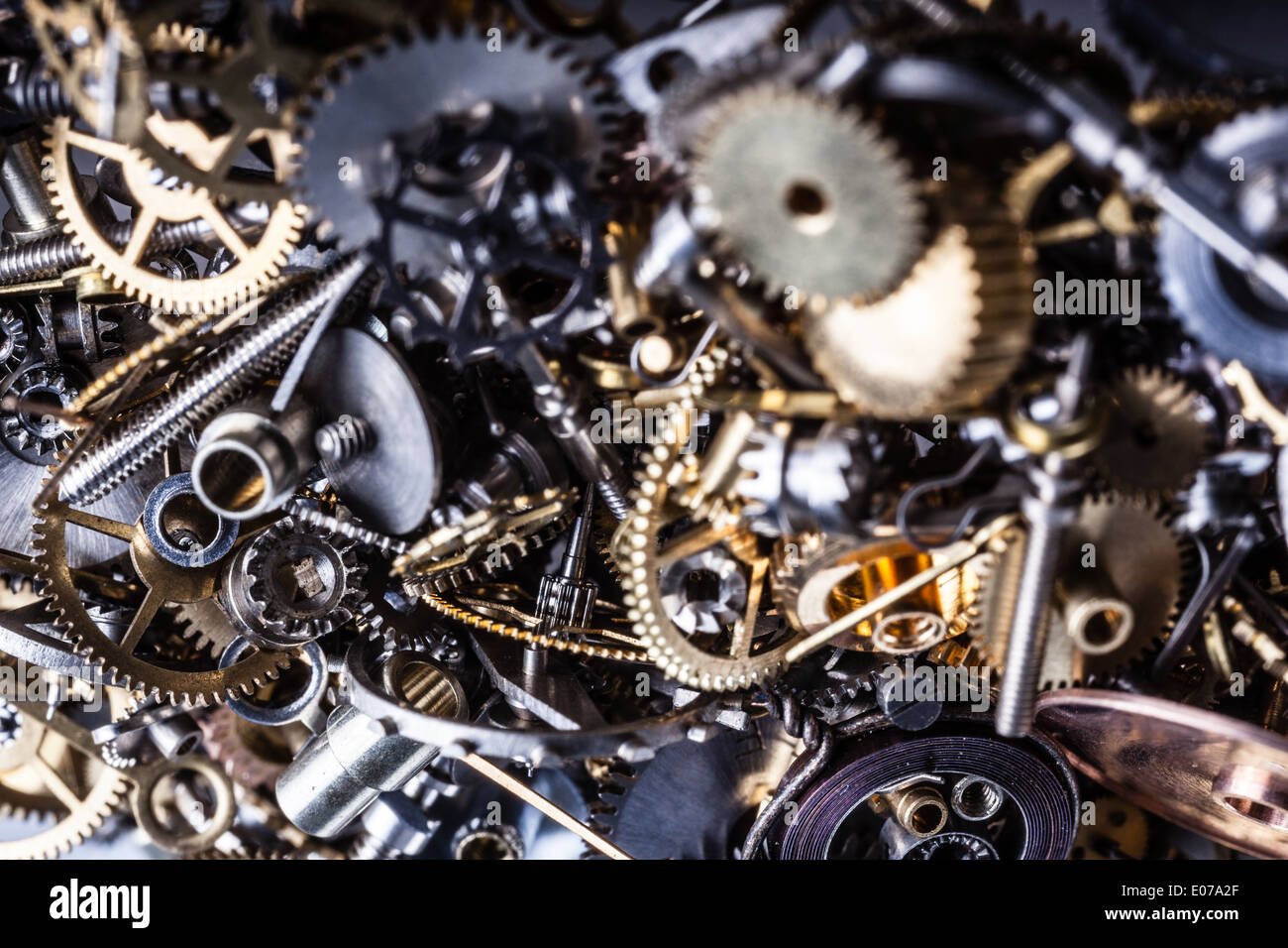 extreme macro shot of a lot of small gear wheels and sprouts Stock ...