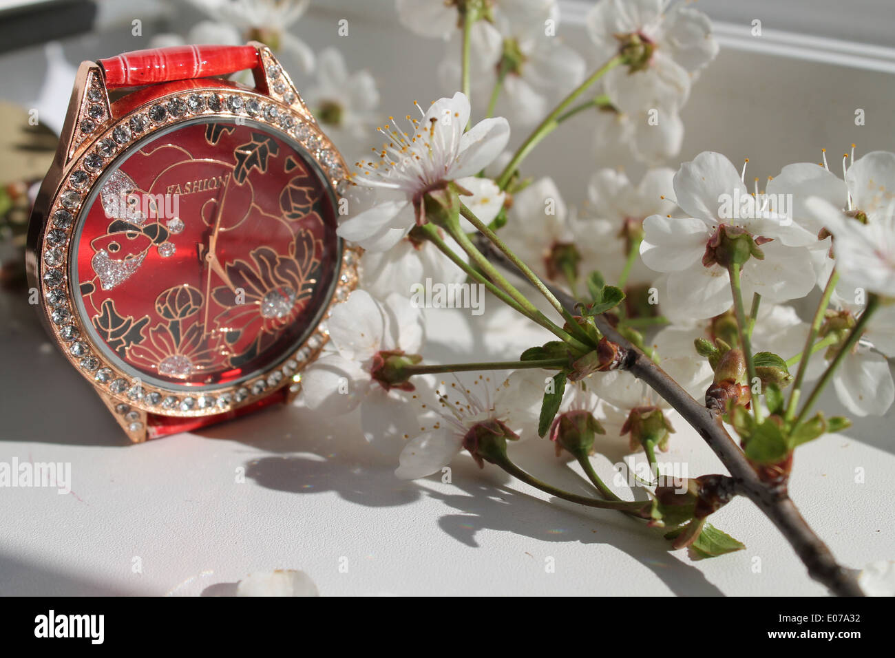 little red watch with white blossom branch of cherry Stock Photo - Alamy