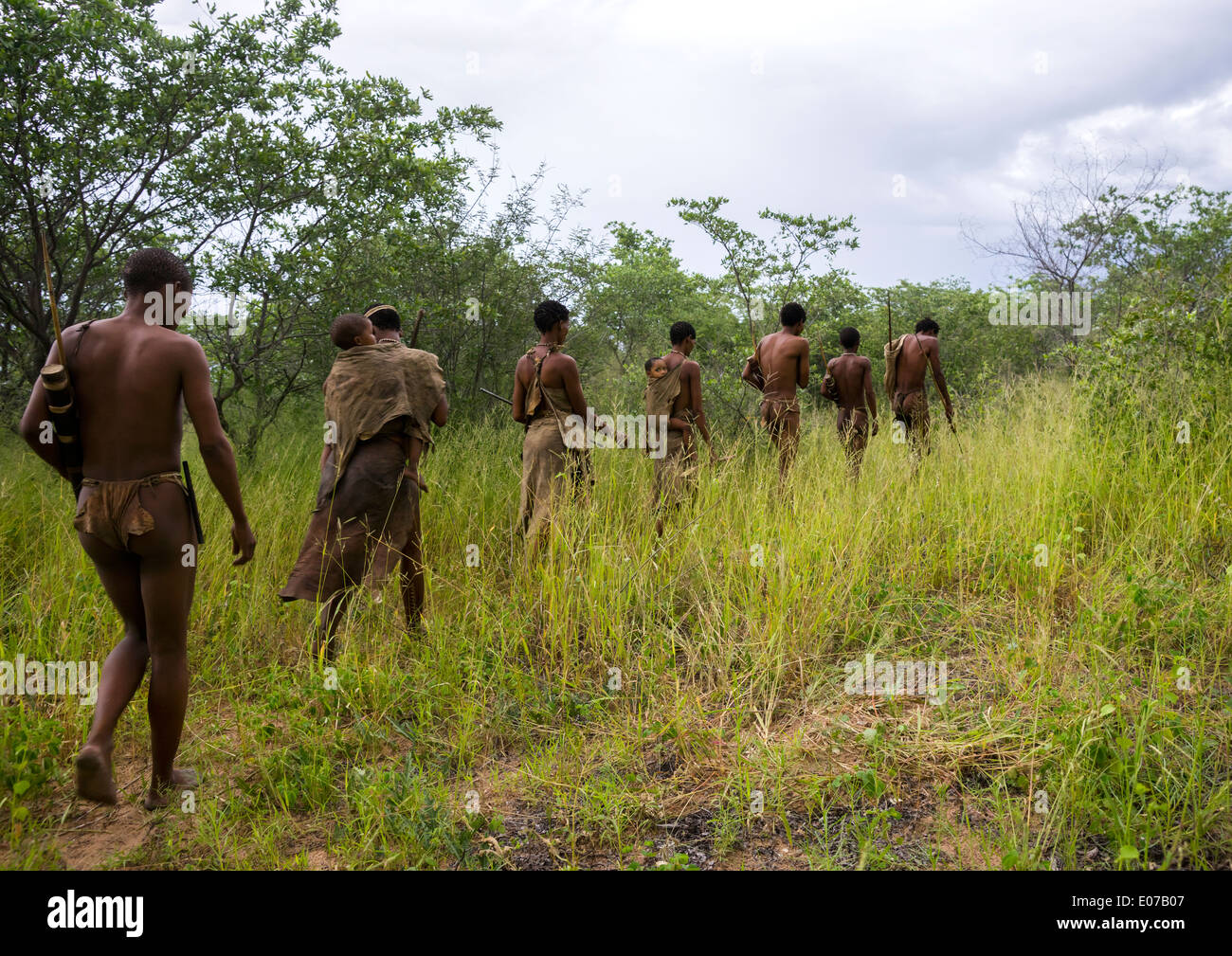 Line Of Bushman Hunters, Tsumkwe, Namibia Stock Photo - Alamy