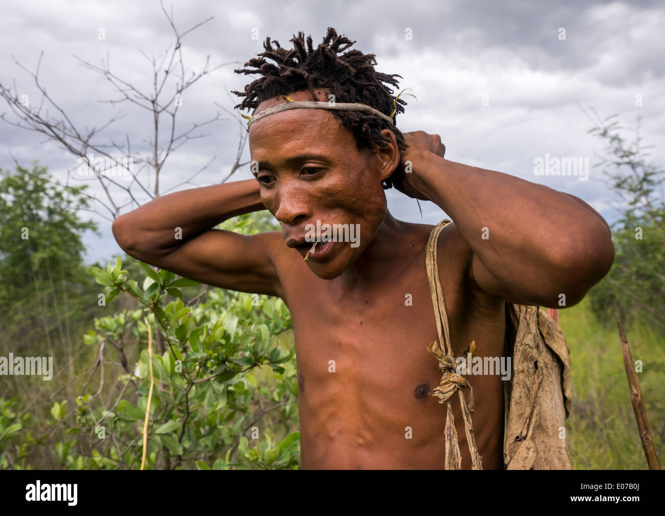 Bushman Collecting Medicinal Plants, Tsumkwe, Namibia Stock Photo - Alamy