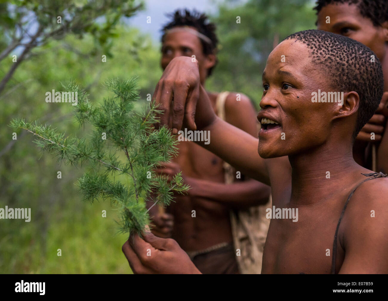Bushmen In The Bush, Tsumkwe, Namibia Stock Photo - Alamy