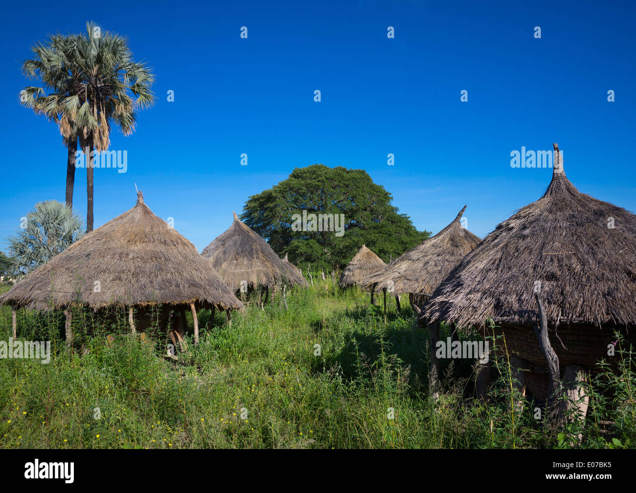 Africa ovambo village hi-res stock photography and images - Alamy