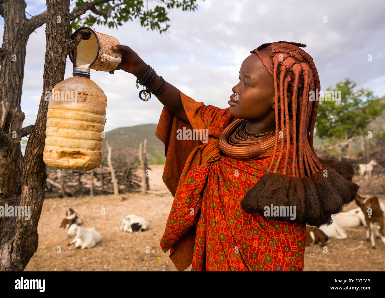 Himba Woman Collecting Milk, Epupa, Namibia Stock Photo - Alamy