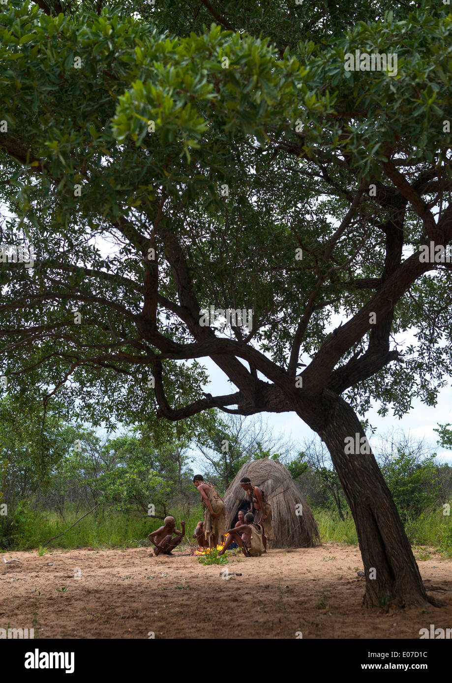 Huts In A Traditional Village, Tsumkwe, Namibia Stock Photo - Alamy