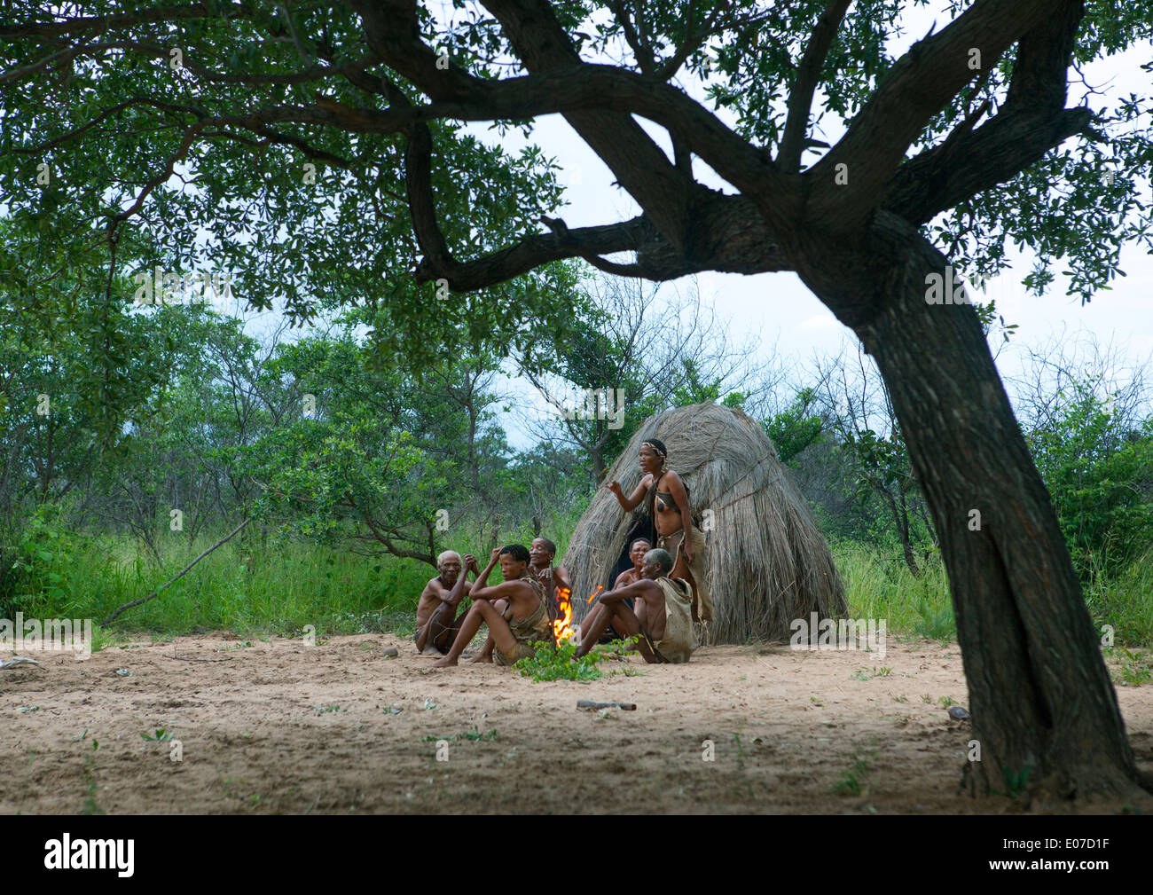 Khoisan hut hi-res stock photography and images - Alamy