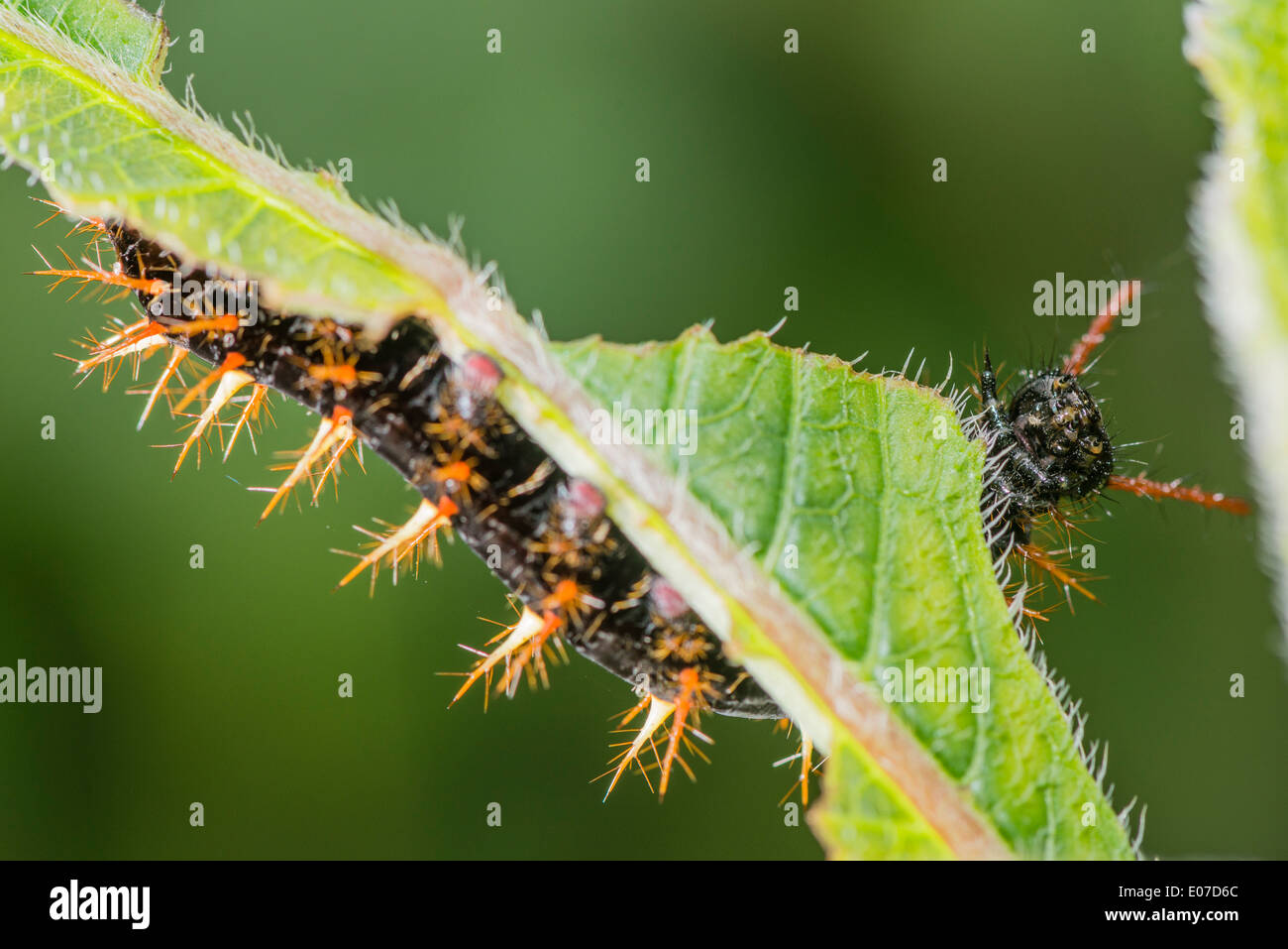 Rusty page hi-res stock photography and images - Alamy