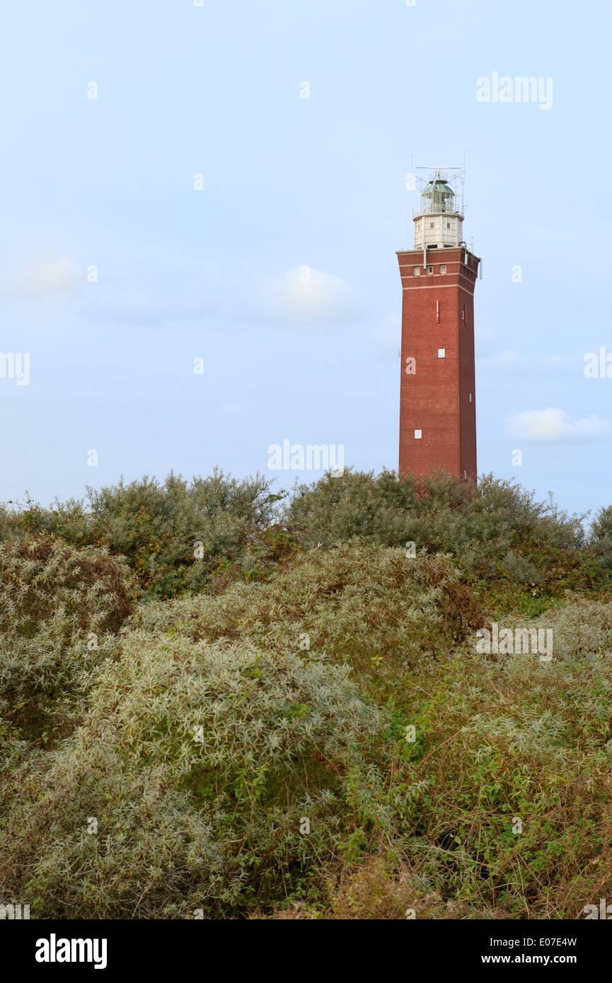 Lighthouse Westhoofd in Ouddorp at Dutch Zeeland Stock Photo - Alamy