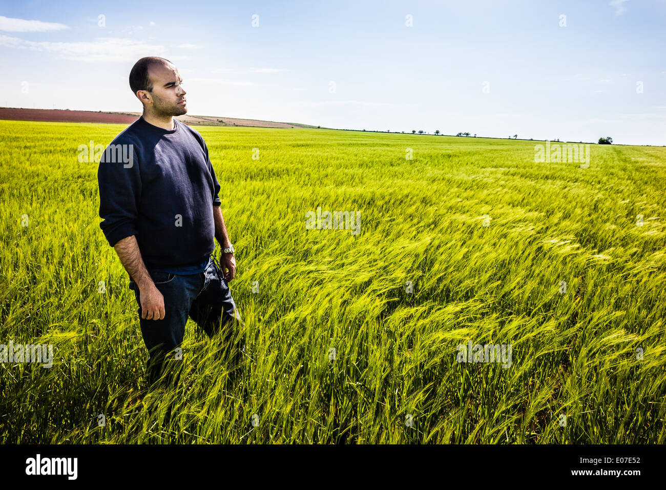 a lone man walking in a big green field Stock Photo - Alamy