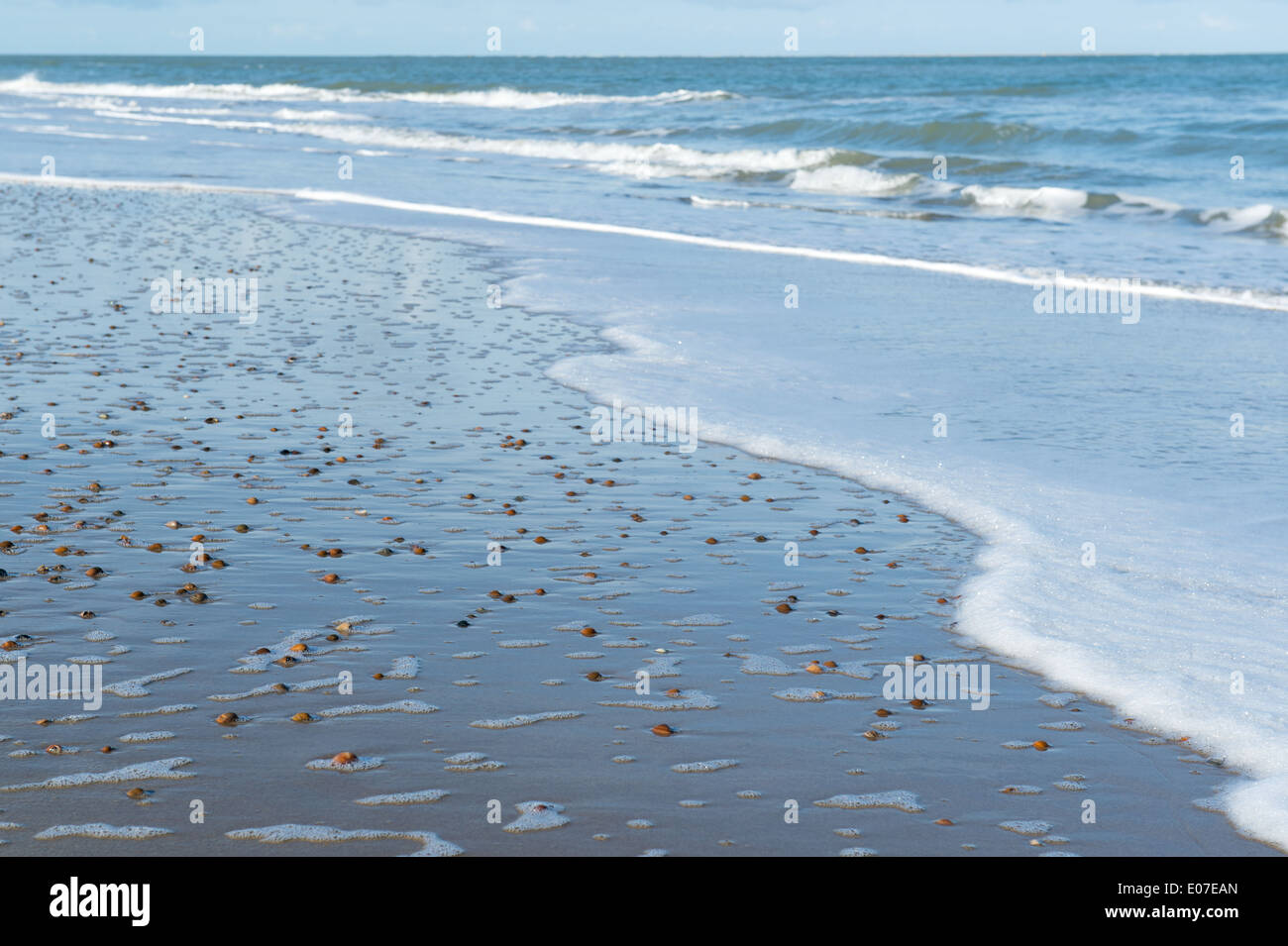 Laying in sea shells hi-res stock photography and images - Alamy