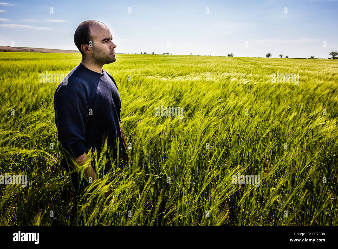 a lone man walking in a big green field Stock Photo - Alamy