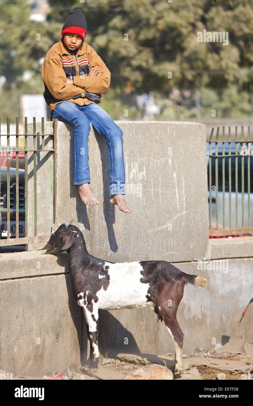 Young Indian Shepherd Boy and his Goat, Saket, New Delhi, India Stock ...