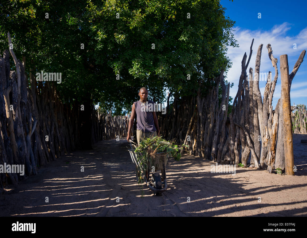 Ovambo Man Collecting Grass, Ondangwa, Namibia Stock Photo - Alamy