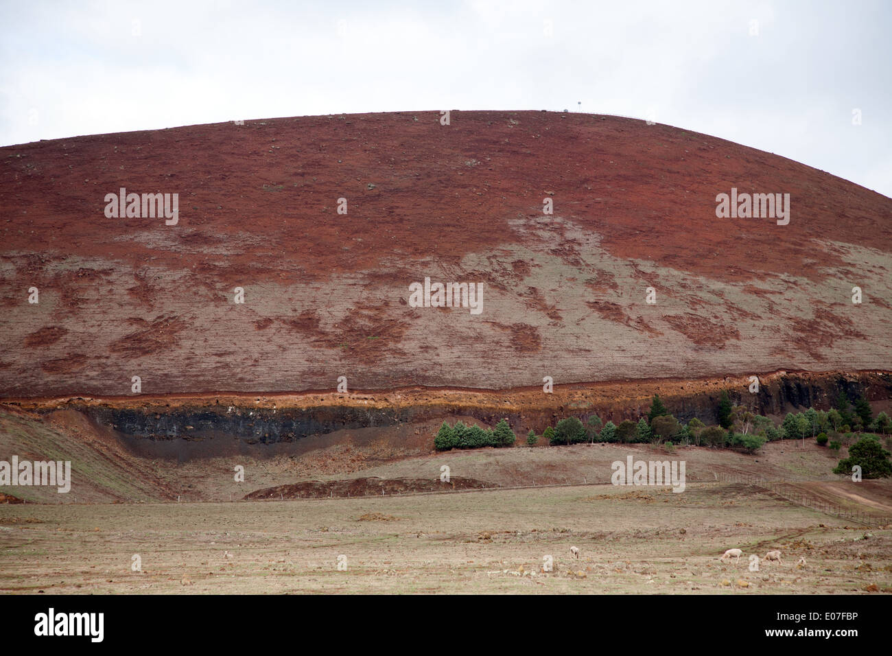 'Mount Elephant' in Derrianallum Victoria Australia 240 meter high ...
