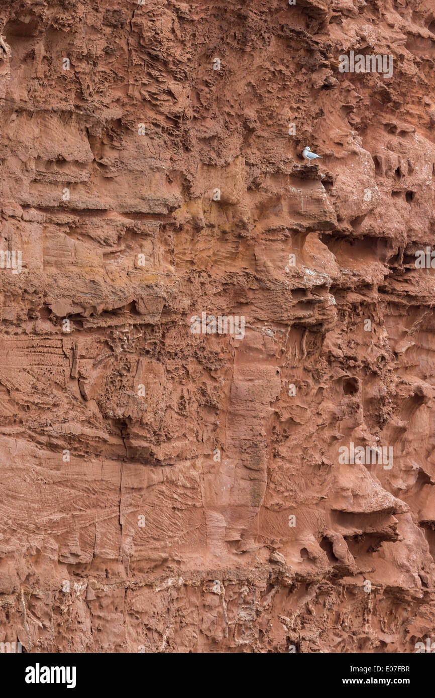 Mercia mudstone hi-res stock photography and images - Alamy