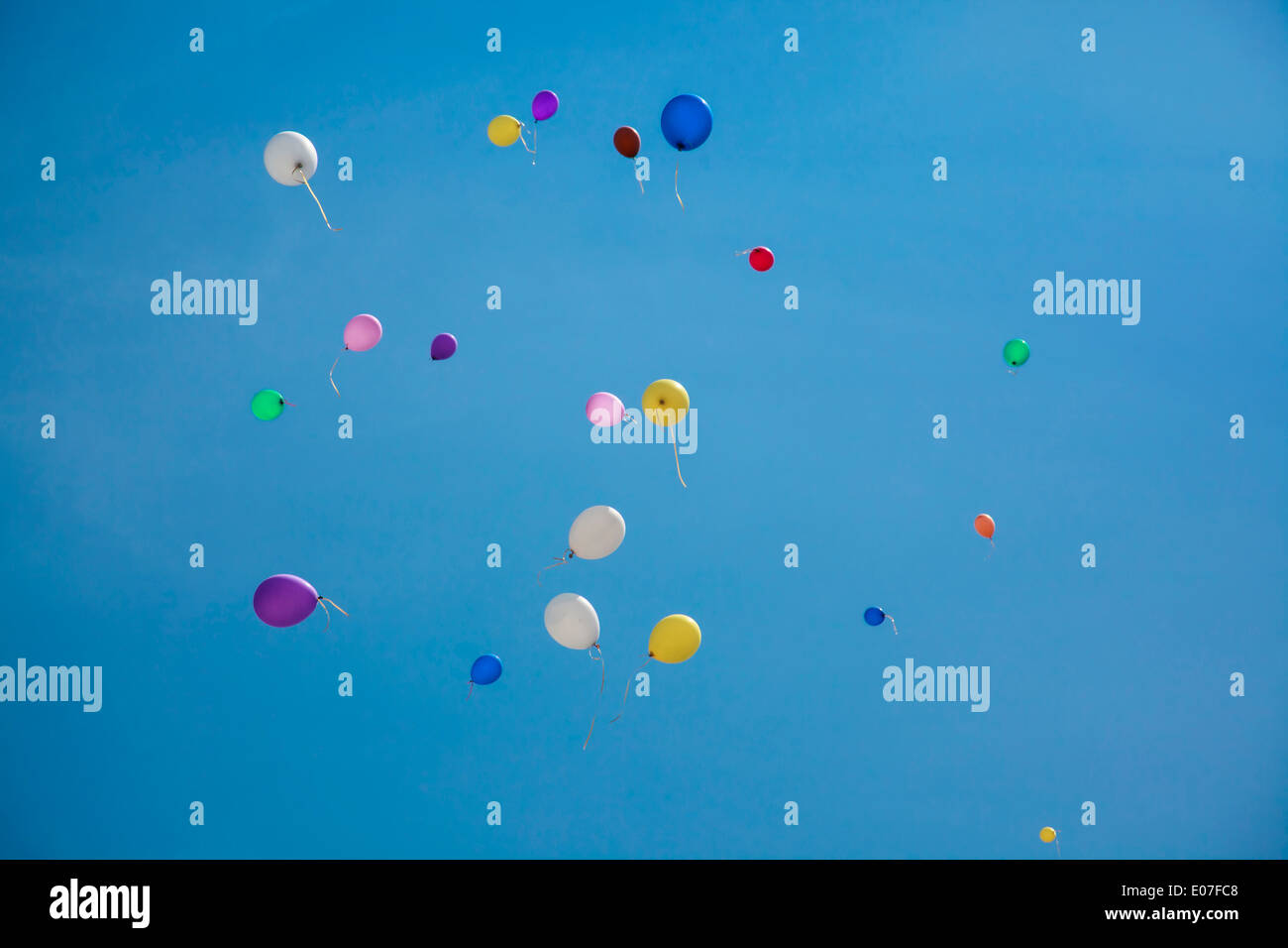Multi-colored balloons flying in the blue sky Stock Photo - Alamy