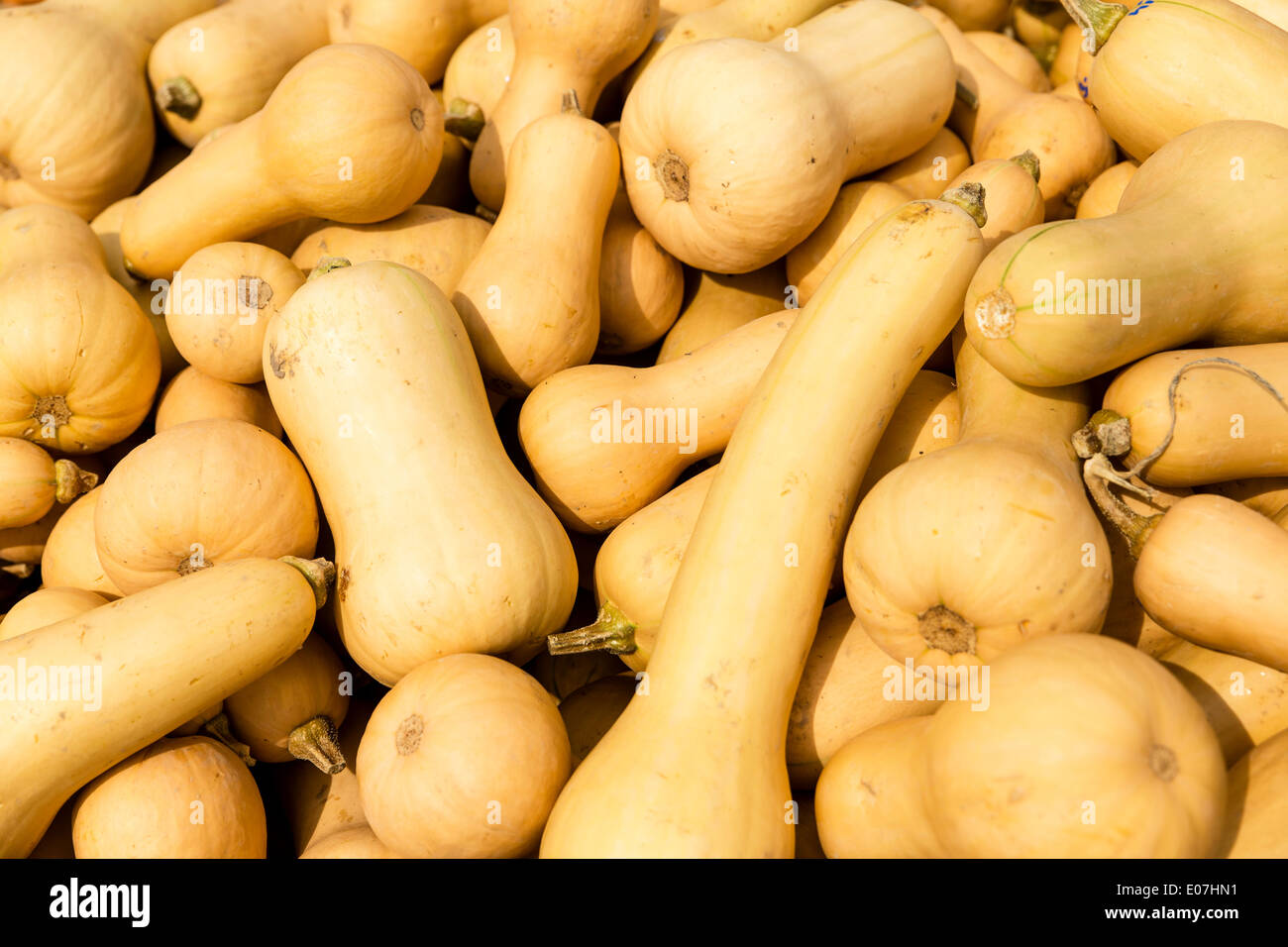 Butternut hi-res stock photography and images - Alamy