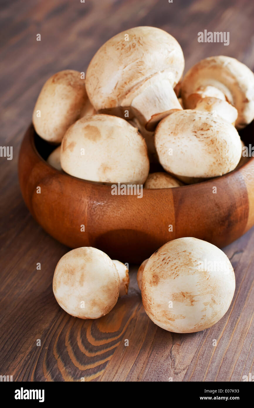 Fresh mushrooms champignon hi-res stock photography and images - Alamy