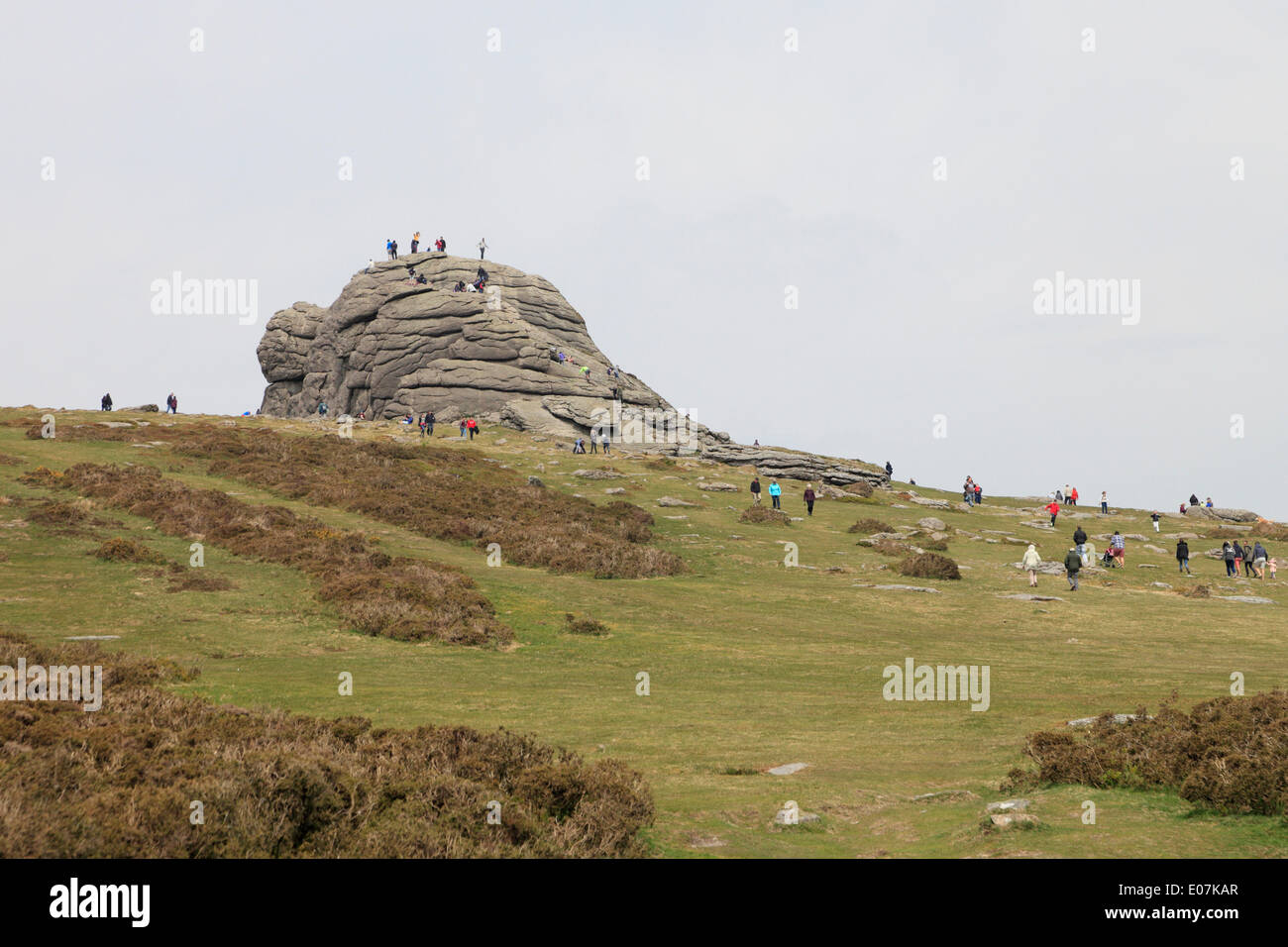 Walkers haytor rocks dartmoor hi-res stock photography and images - Alamy