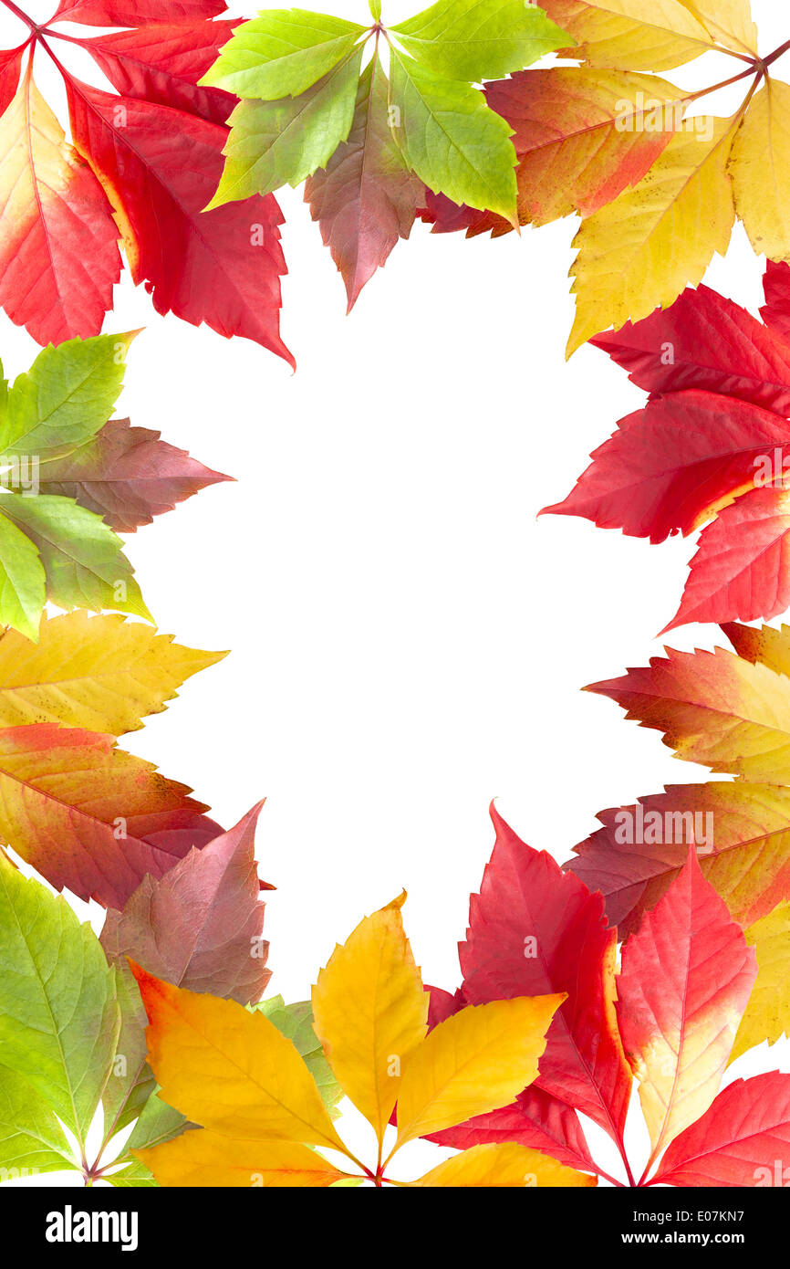 Autumn leaves frame Stock Photo - Alamy